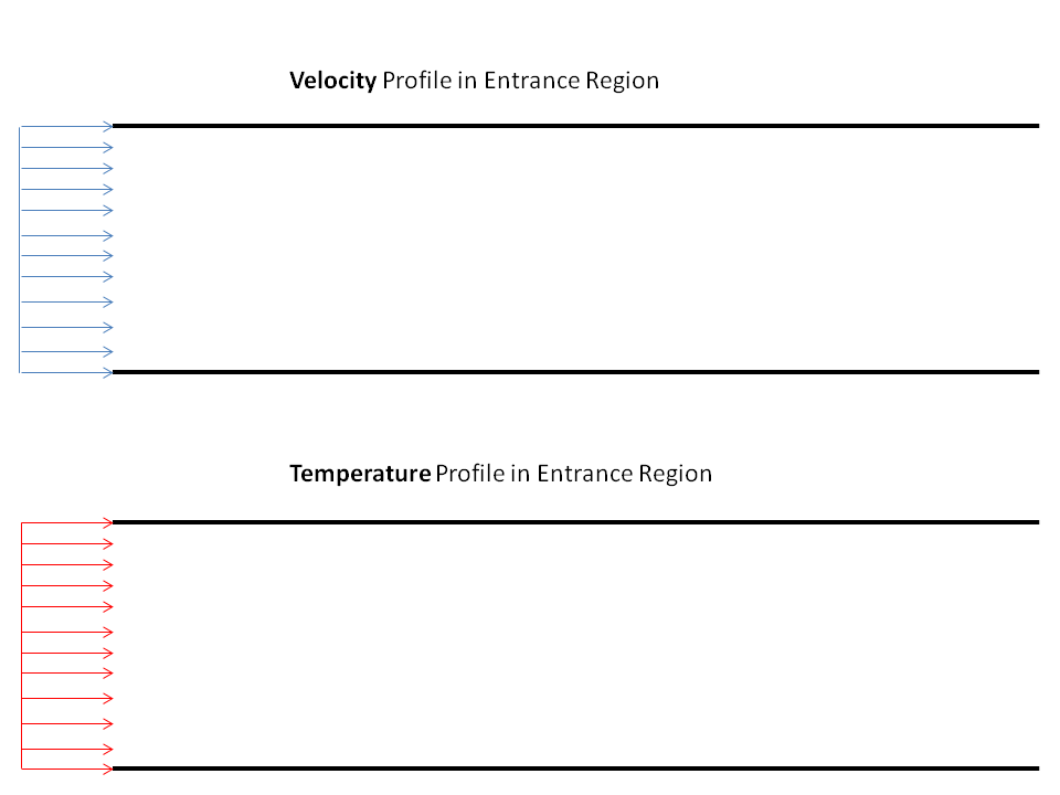Animations of Fluid Flow Phenomena